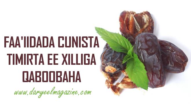 cunista timirta - Daryeel Magazine