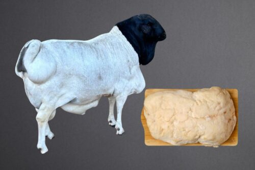 Faa'idada Barida Idaha Iyo Xanuunnada Lagu Daweeyo - Daryeel Magazine