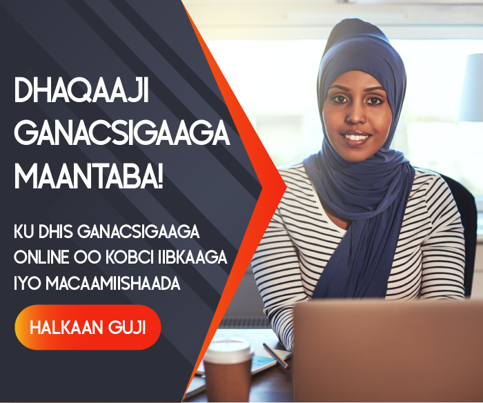 Daryeel Magazine - Daryeel Magazine